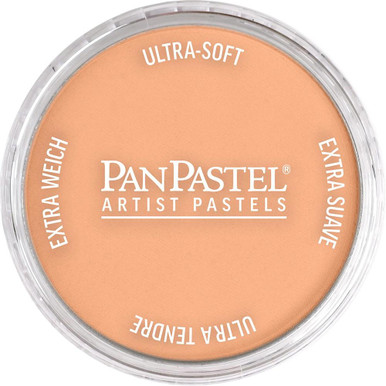 PanPastel Artists' Pastel Burnt Sienna Light|Cass Art