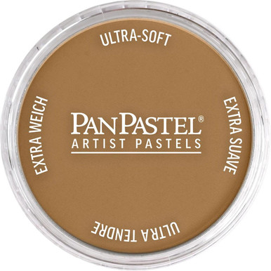 PanPastel Artists' Pastel Burnt Umber Medium|Cass Art