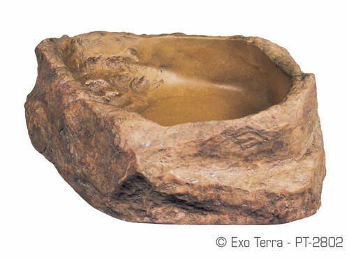 Exo Terra Water Dish (Medium) - ReptilesRuS