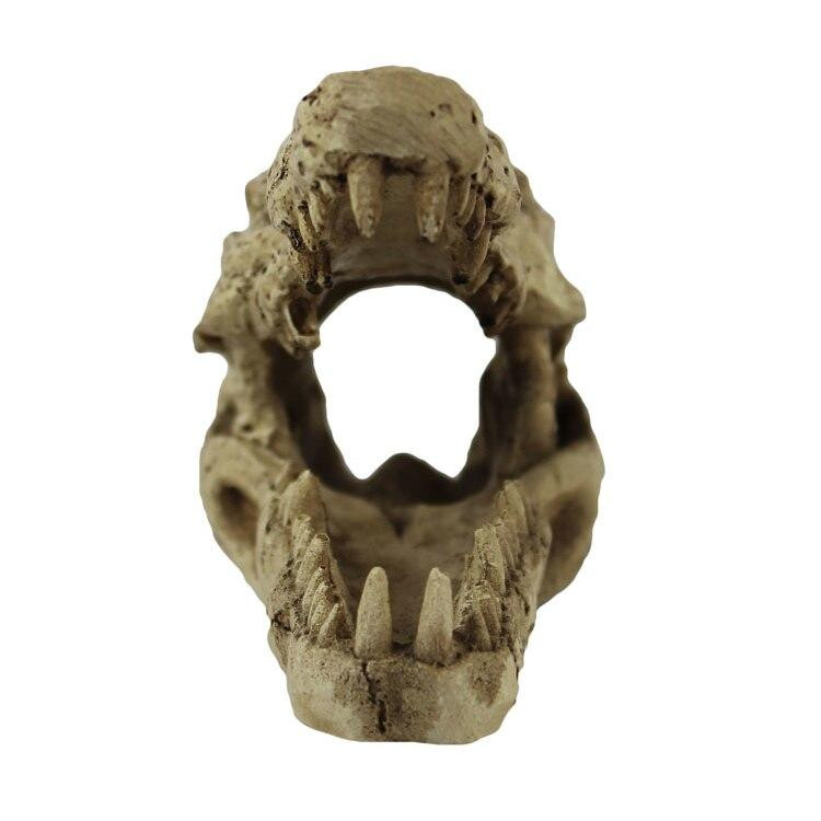Pangea Crocodile Skull - ReptilesRuS