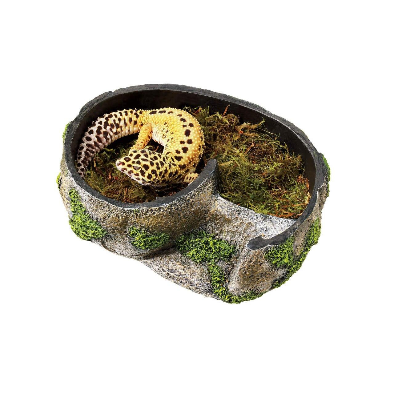 Zilla Rock Lair Humidity Hide Lay Box (Medium) - ReptilesRuS