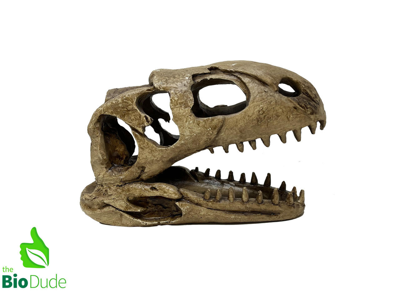 The Bio Dude - Dino Decor - T-Rex - ReptilesRuS