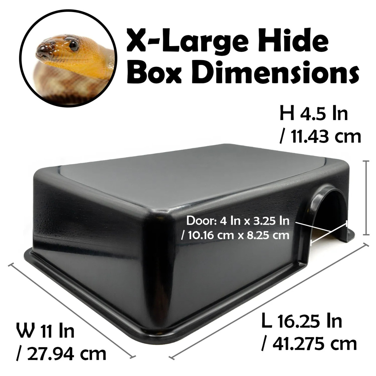 Pangea Reptile Hide Box - X-Large - ReptilesRuS