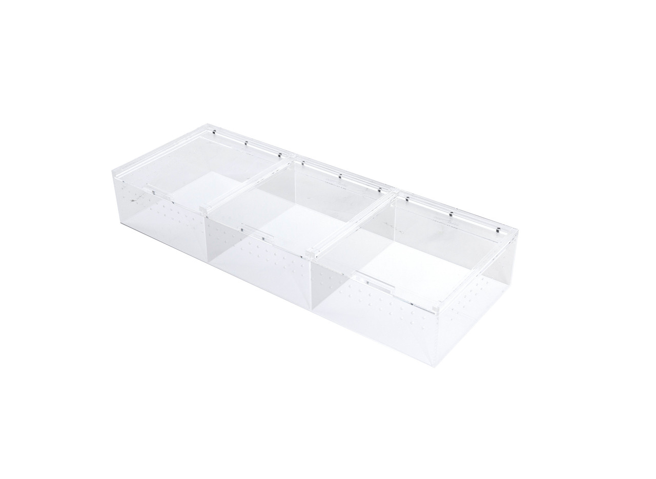 ReptiZoo Acrylic Expo Display Case with 3 Compartments 56.5 x 20.6 x 9 ...