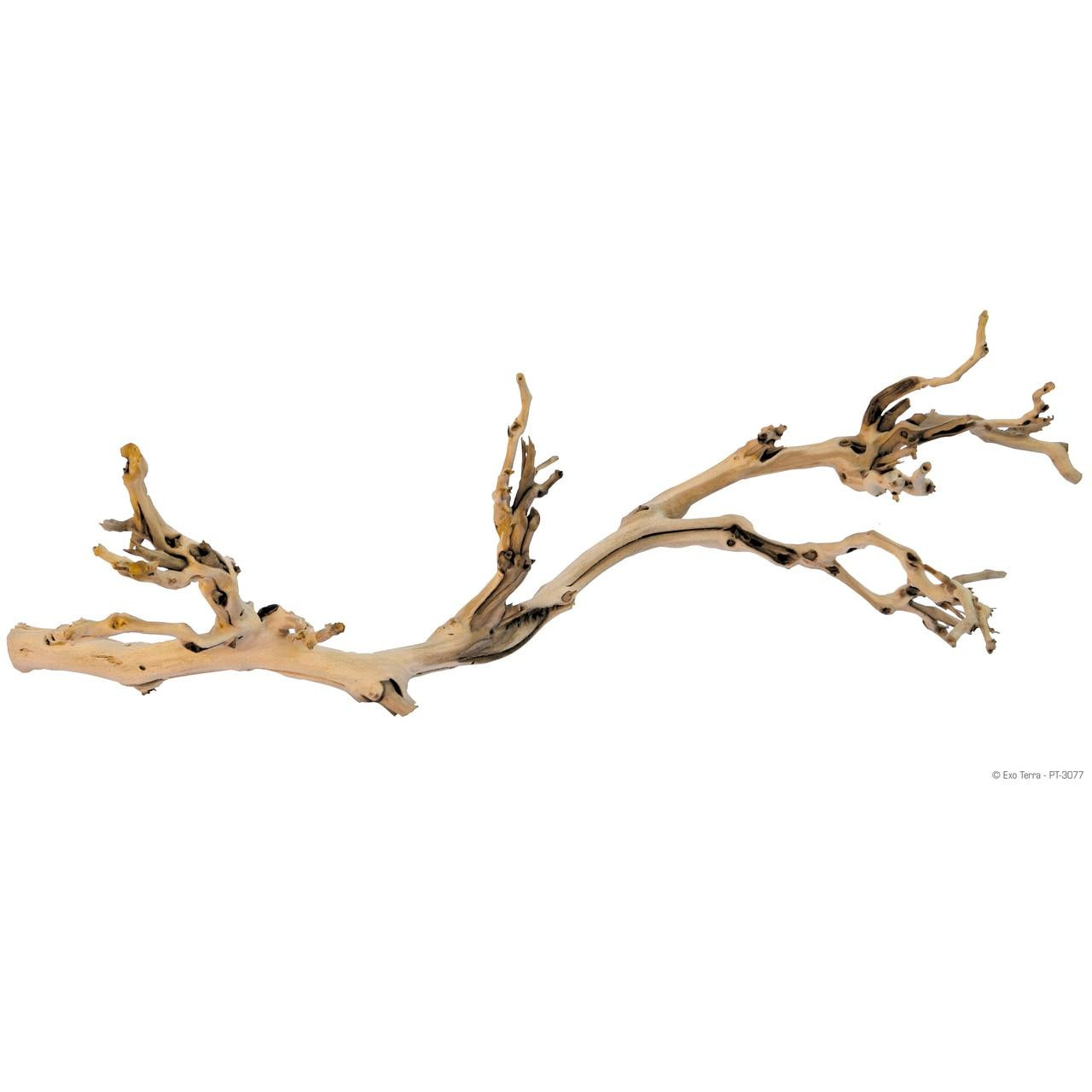 Sandblasted Grapevine - Large Roughly 24" - ReptilesRuS