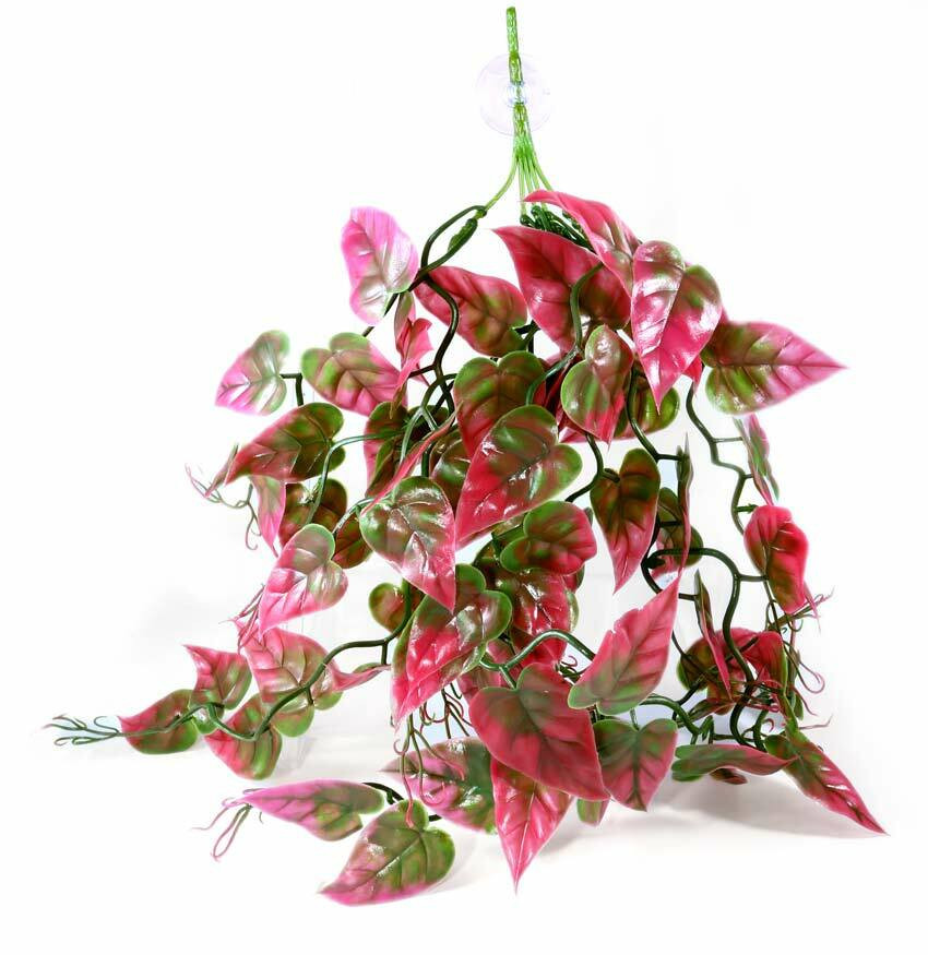 PANGEA PLANTS - RED - ReptilesRuS