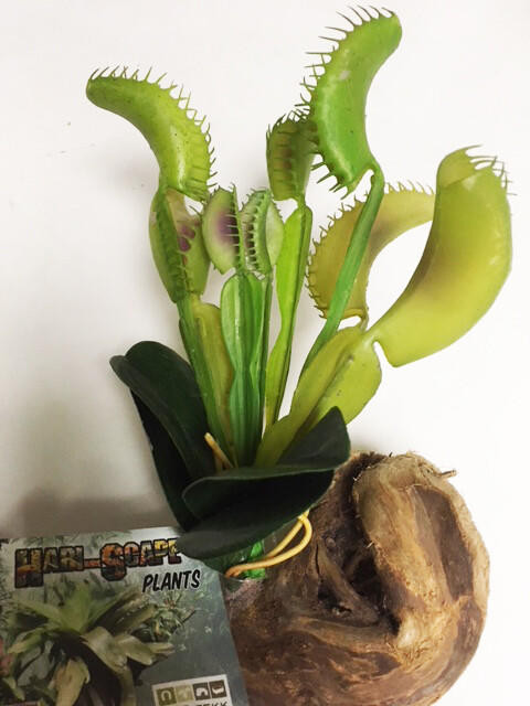 Habi-Scape Venus Flytrap with Driftwood - ReptilesRuS