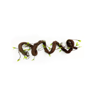 Reptile Treasures Products - ReptilesRuS