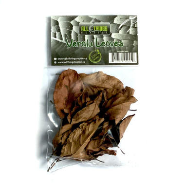 ATR Veralu (Ceylon Olive) Mix Size Leaves 20-pack - ReptilesRuS