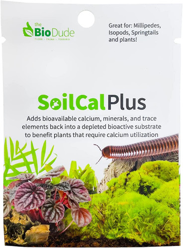 The Bio Dude Soil Cal Plus CaCO3 - ReptilesRuS