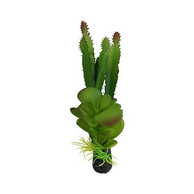 Komodo Cactus and Succulent 5" Plant Decoration - ReptilesRuS