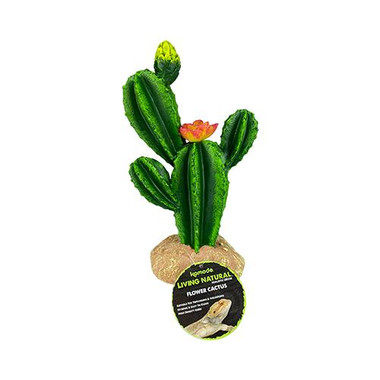 Komodo Flower Cactus 9" Plant Decoration - ReptilesRuS