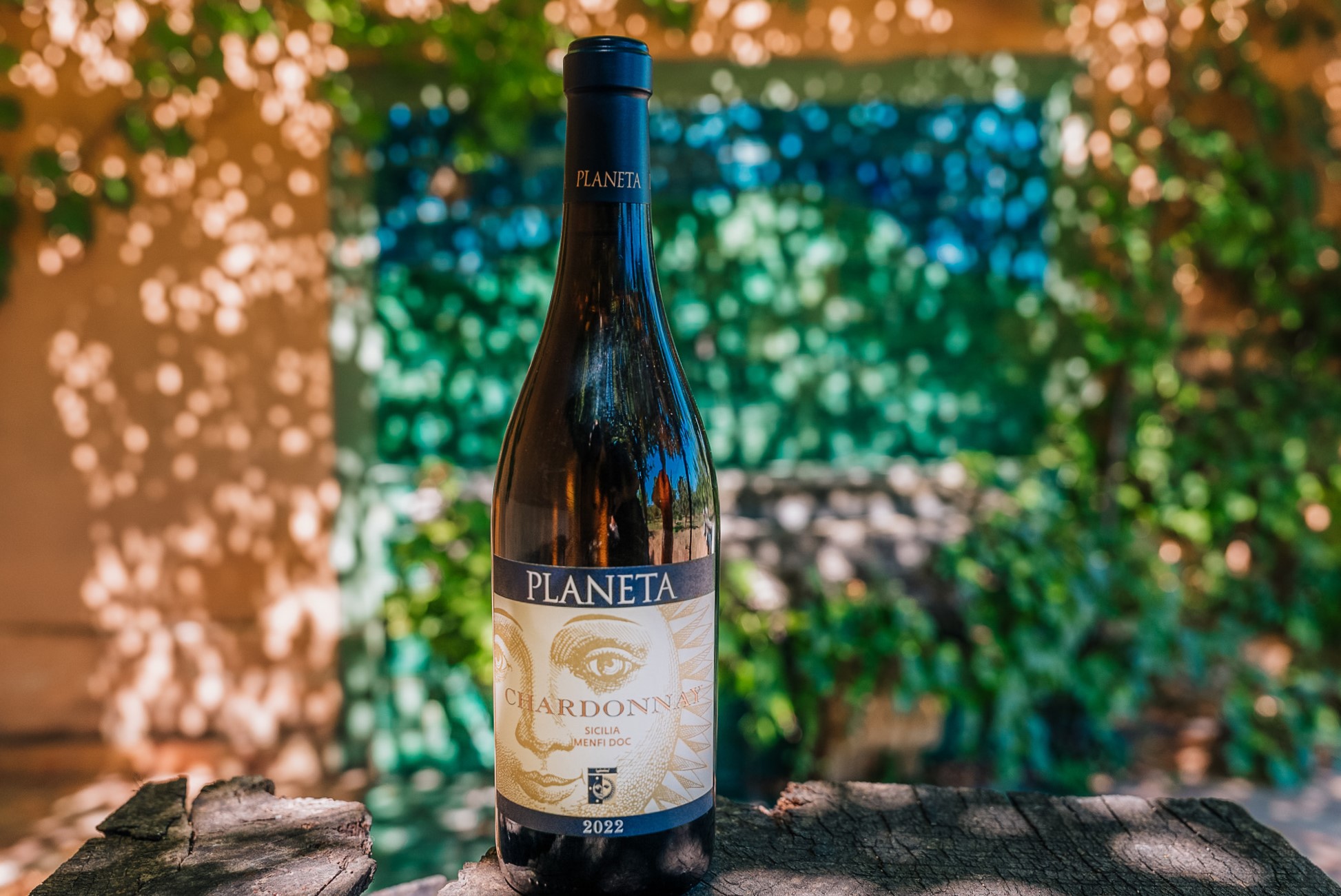 Planeta - A Sicilian Odyssey - The Great Wine Co.
