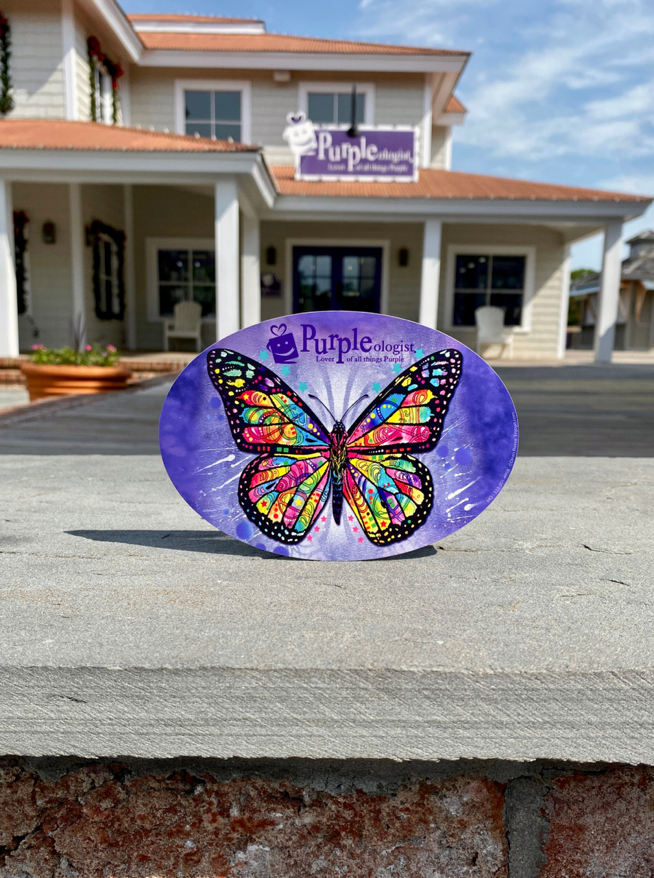 Colorful Butterfly Magnet - Purpleologist