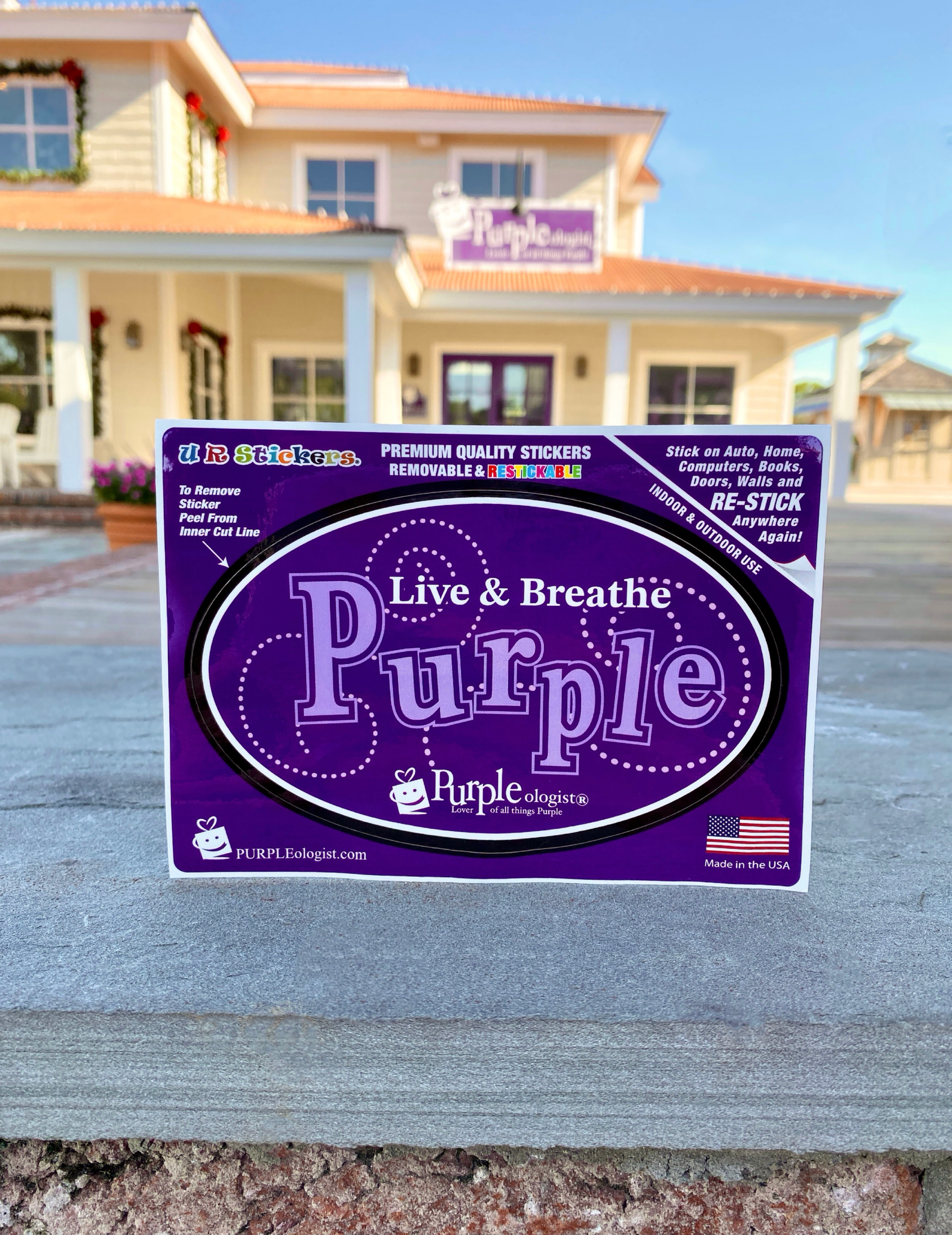Purple Store – PURPLEologist.com - Shop for All Things Purple!