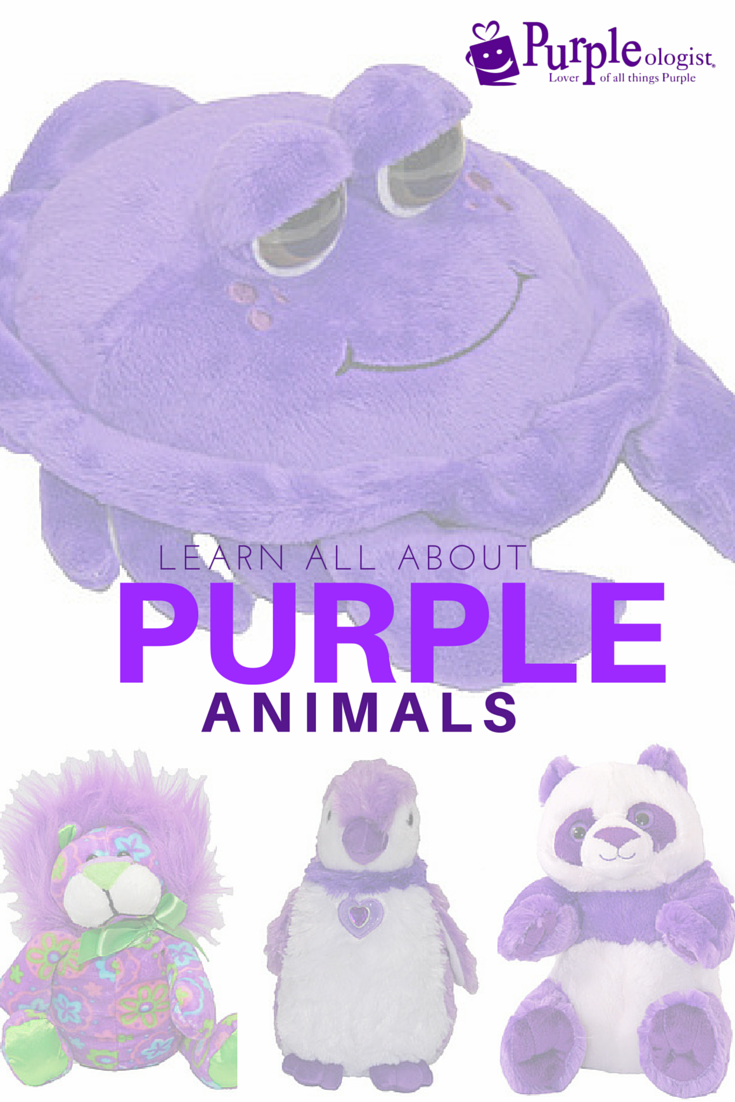 Purpleologist's Favorite Purple Animals - Purpleologist