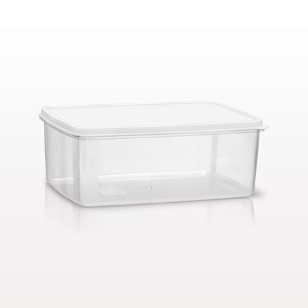 Rectangular Container w/ Flip-Top Lid