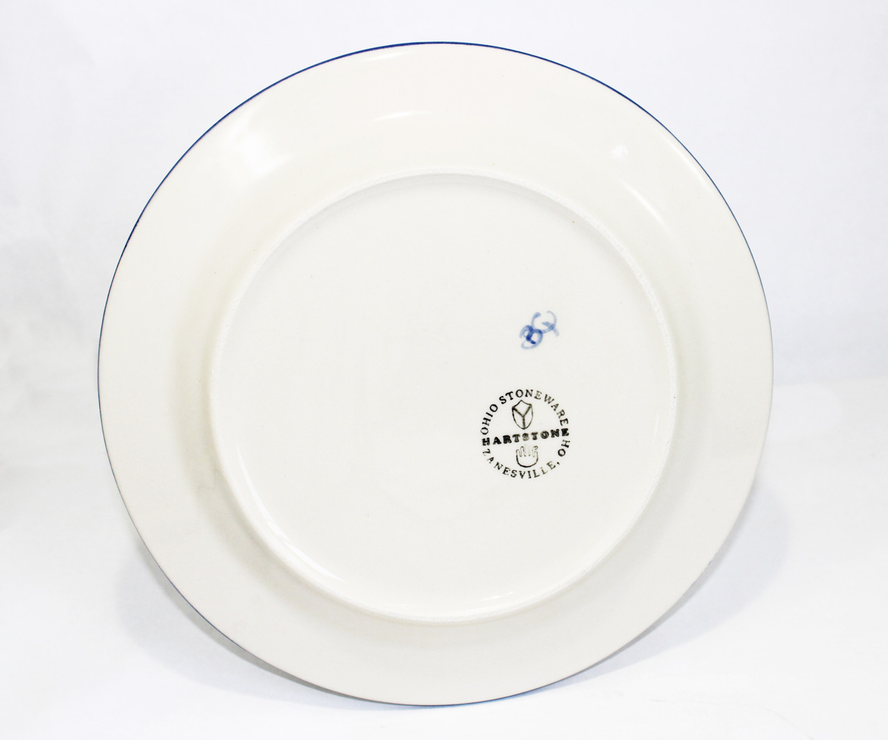 Wild Blueberry Pattern ~ Dinner Plate
