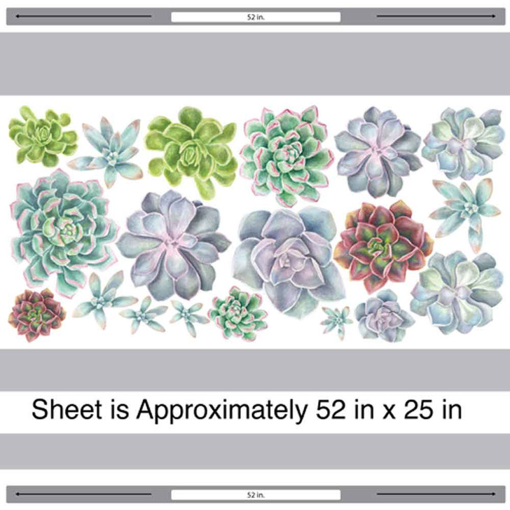 Succulent Variety Watercolor Wall mural