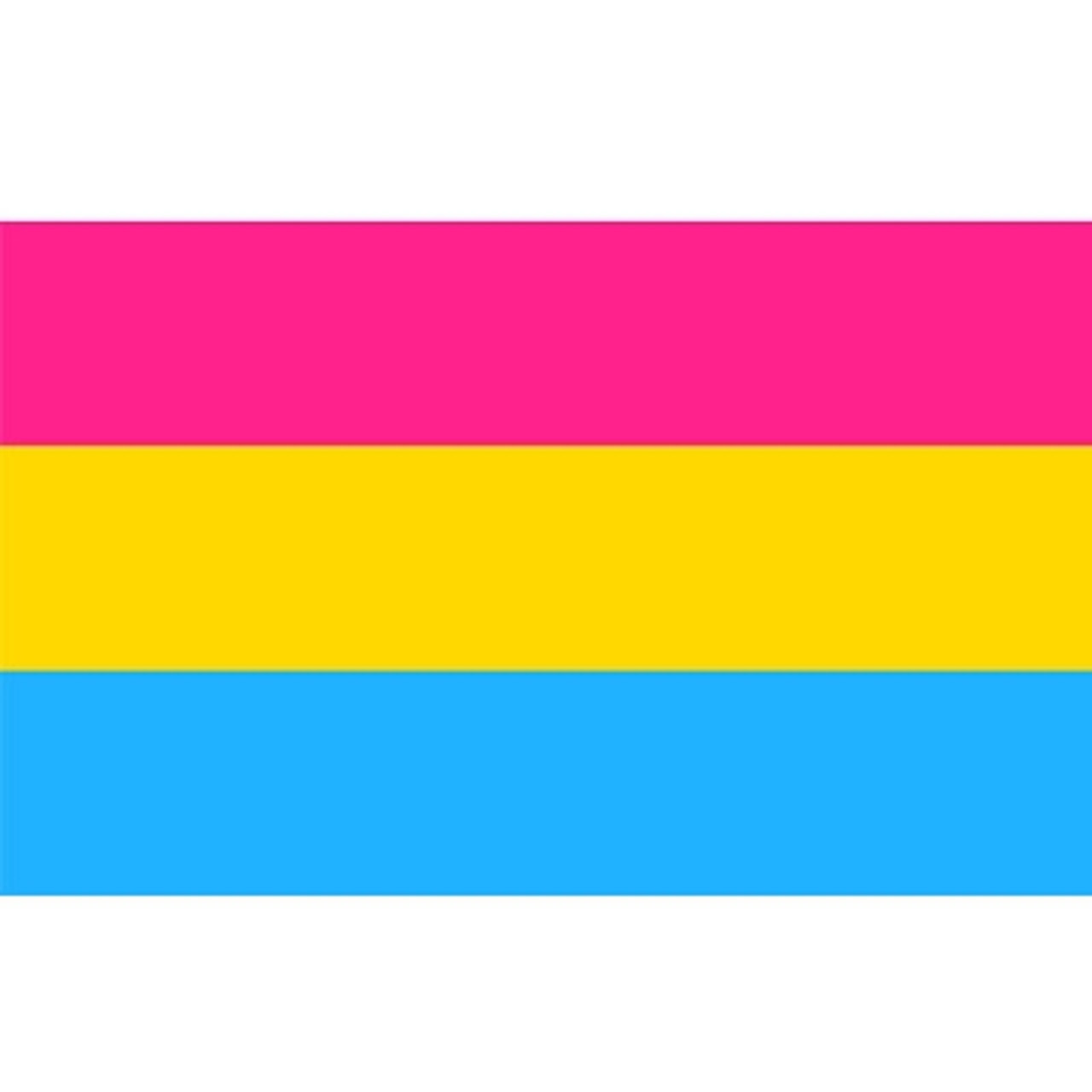 Pansexual Pan Pride Flag Sticker For Car 2x3 Rectangle Bumper