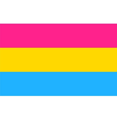 Pansexual / Pan Pride Flag Sticker for Car (2x3" Rectangle Bumper ...