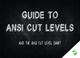 The Ultimate Guide to ANSI Cut Levels - Safety Services, Inc.
