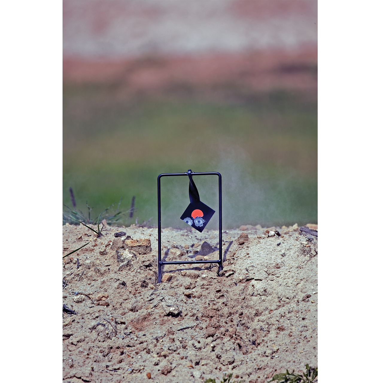 Champion Metal Targets
