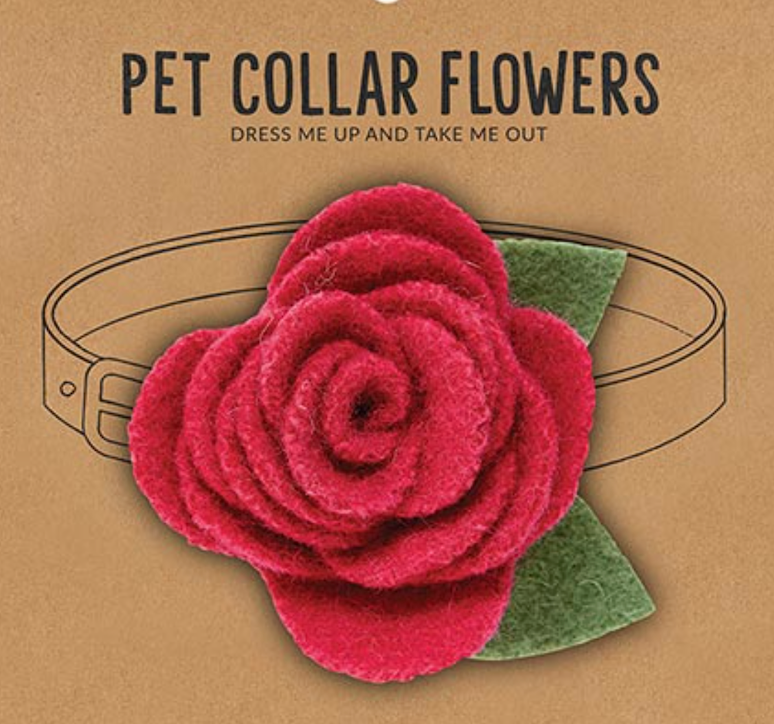 pet collar flower