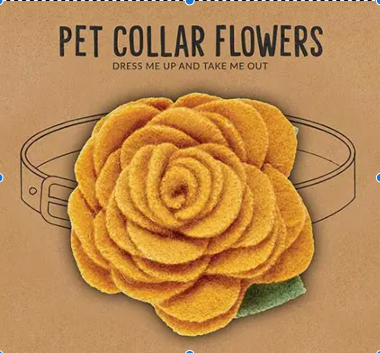 pet collar flower