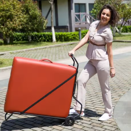 Master Cart for Massage Therapists on the Go - MassageTools