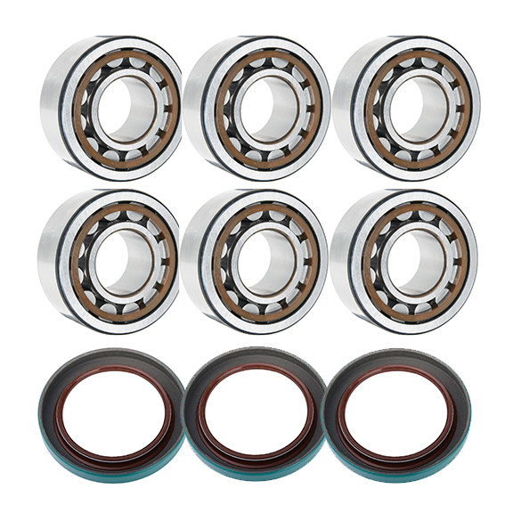 SCS Transfer Case Complete Bearing & Seal Kit – Includes Input & Output ...