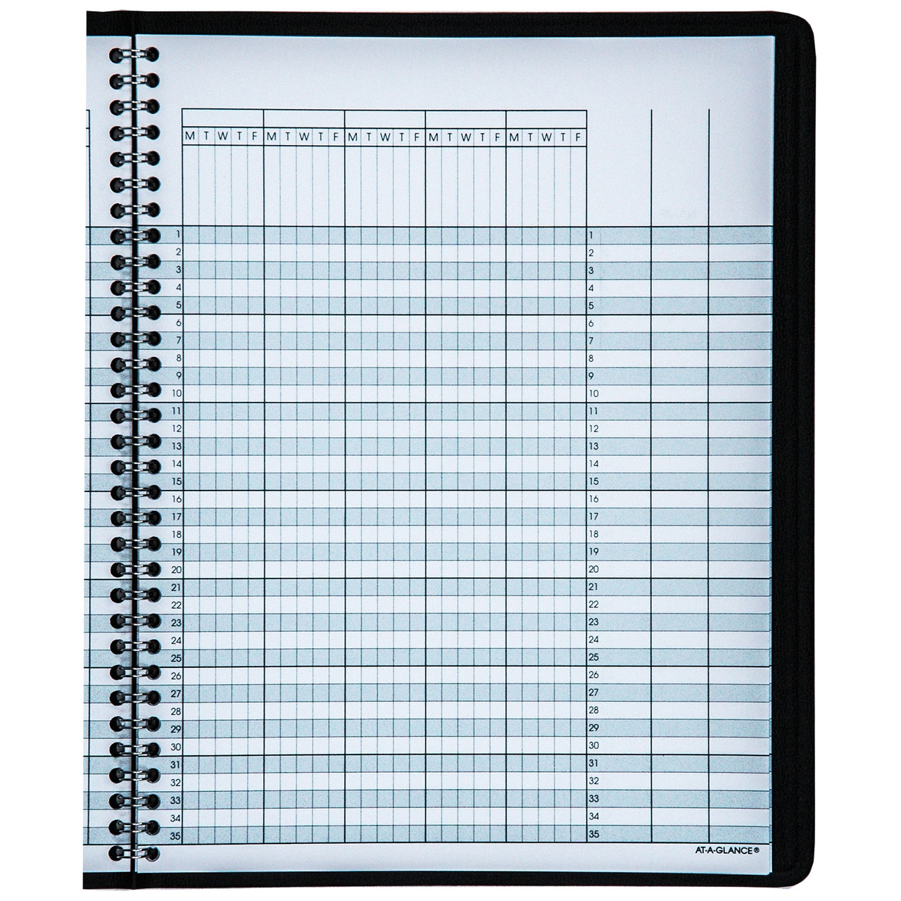 At-A-Glance 80-150, 80-150-05 Class Record Book, 8-1/4 x 10-7/8 ...