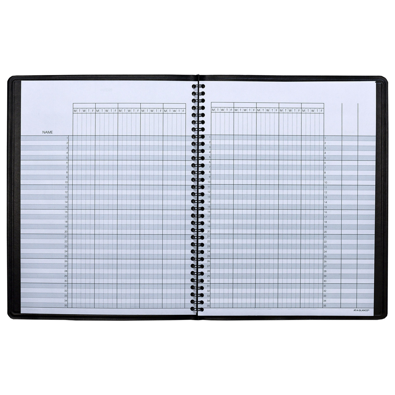 At-A-Glance 80-150, 80-150-05 Class Record Book, 8-1/4 x 10-7/8 ...