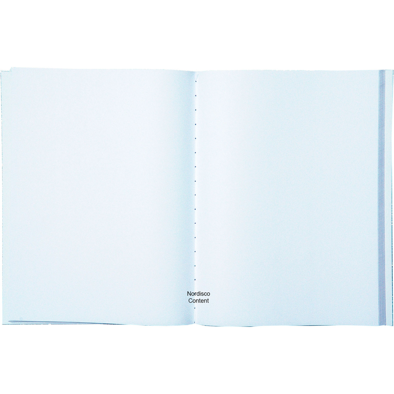 Roaring Spring 77479 Plain Unruled Marble Cover Compostion Book, 10.25 ...