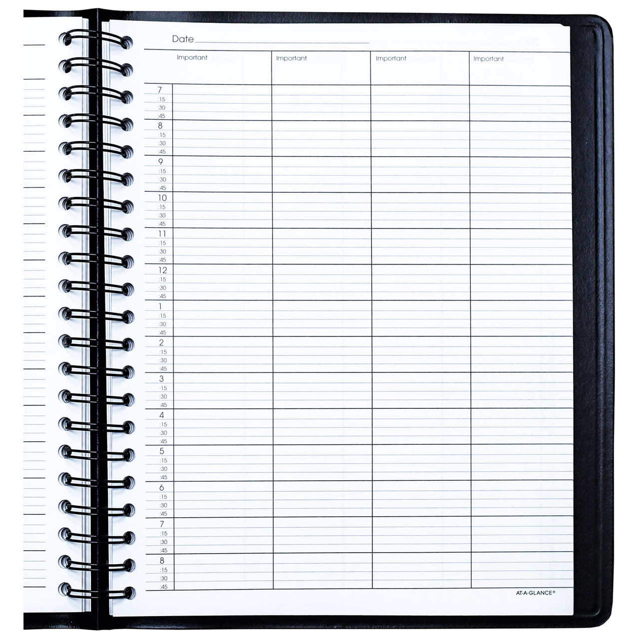 At-A-Glance 80-310-05 4-Person Undated Appointment Book | Nordisco.com