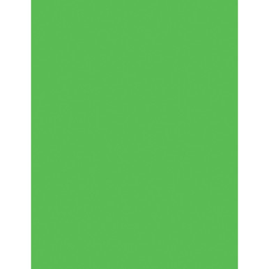 Pacon 104317 Neon Bond Paper | Nordisco.com