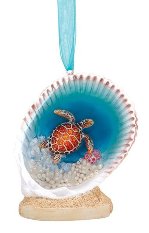 Cape Shore Boynton Beach Ocean Turtle Underwater Scene In A Sea Shell ...
