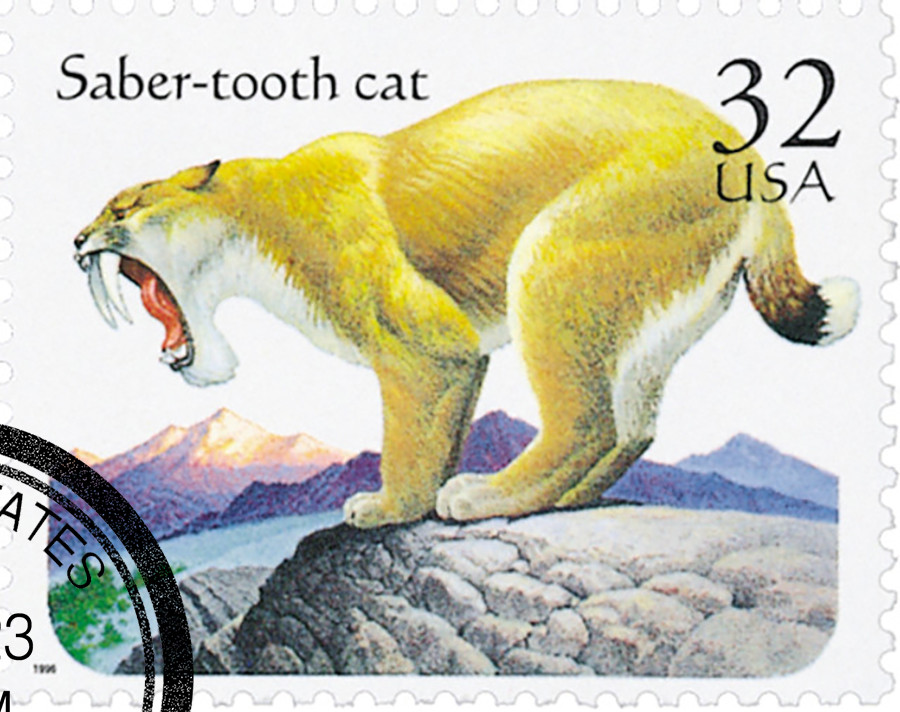 Prehistoric Saber Tooth Cat Size Comparison Of A Man And Three