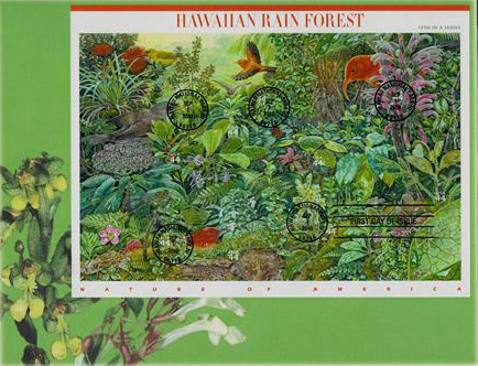 10 X 33 Rainforest Stamp 3378f - 2000 33c Pacific Coast Rain Forest ...