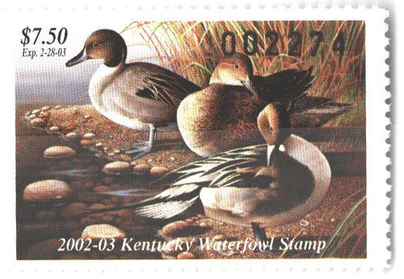 SDKY18 - 2002 Kentucky State Duck Stamp - Mystic Stamp Company