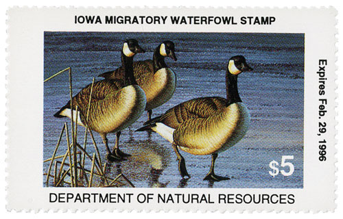 SDIA24 - 1995 Iowa State Duck Stamp - Mystic Stamp Company