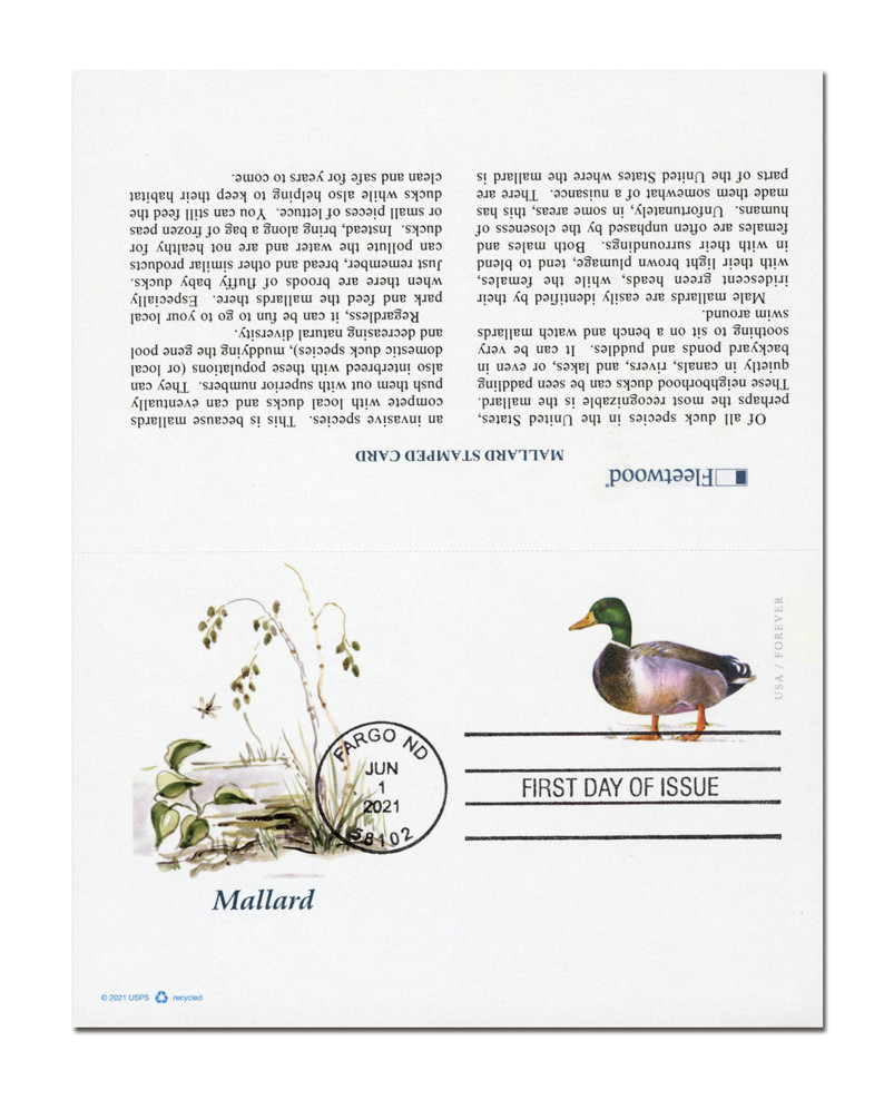UY55 - 2021 36c Mallard Double Reply Card - Mystic Stamp Company