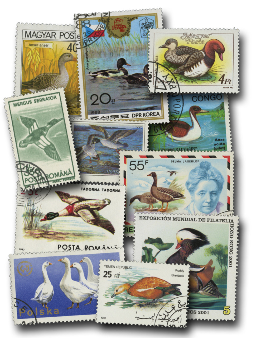 MP2182 - 25 Different Duck and Geese Stamps - Mystic Stamp Company