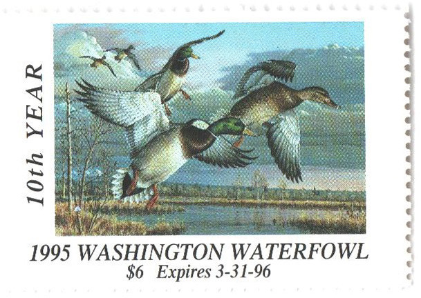 SDWA11 - 1995 Washington State Duck Stamp - Mystic Stamp Company
