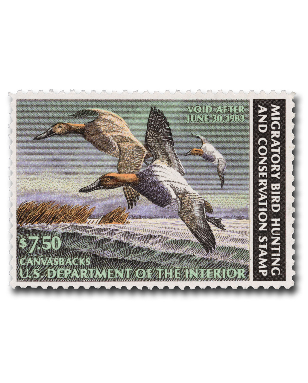 RW49 - 1982 $7.50 Federal Duck Stamp - Canvasbacks - Mystic Stamp Company