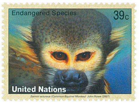 UN926 - 2007 39c UNNY Endanger-Squirrel Monkey - Mystic Stamp Company