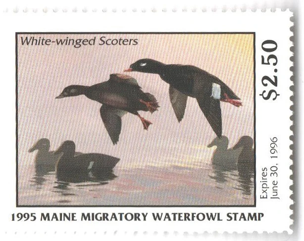 SDME12 - 1995 Maine State Duck Stamp - Mystic Stamp Company