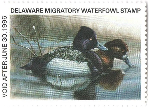SDDE16 - 1995 Delaware State Duck Stamp - Mystic Stamp Company