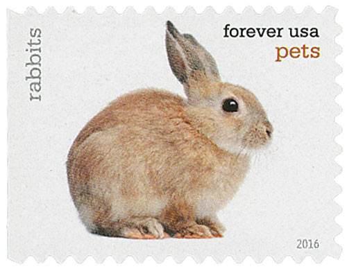 5112 - 2016 First-Class Forever Stamp - Pets: Rabbits - Mystic Stamp ...