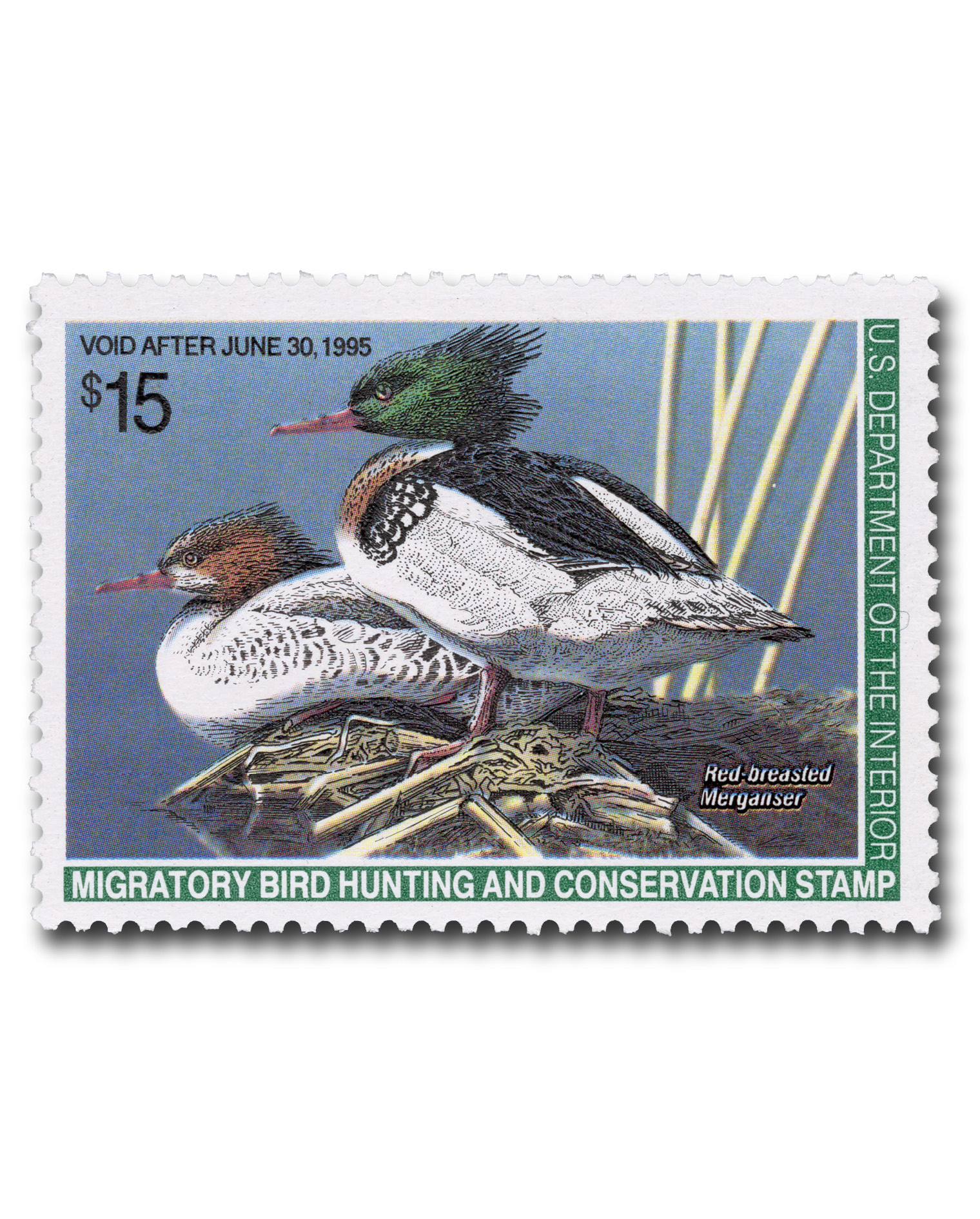 RW61 - 1994 $15.00 Federal Duck Stamp - Red-breasted Merganser - Mystic ...